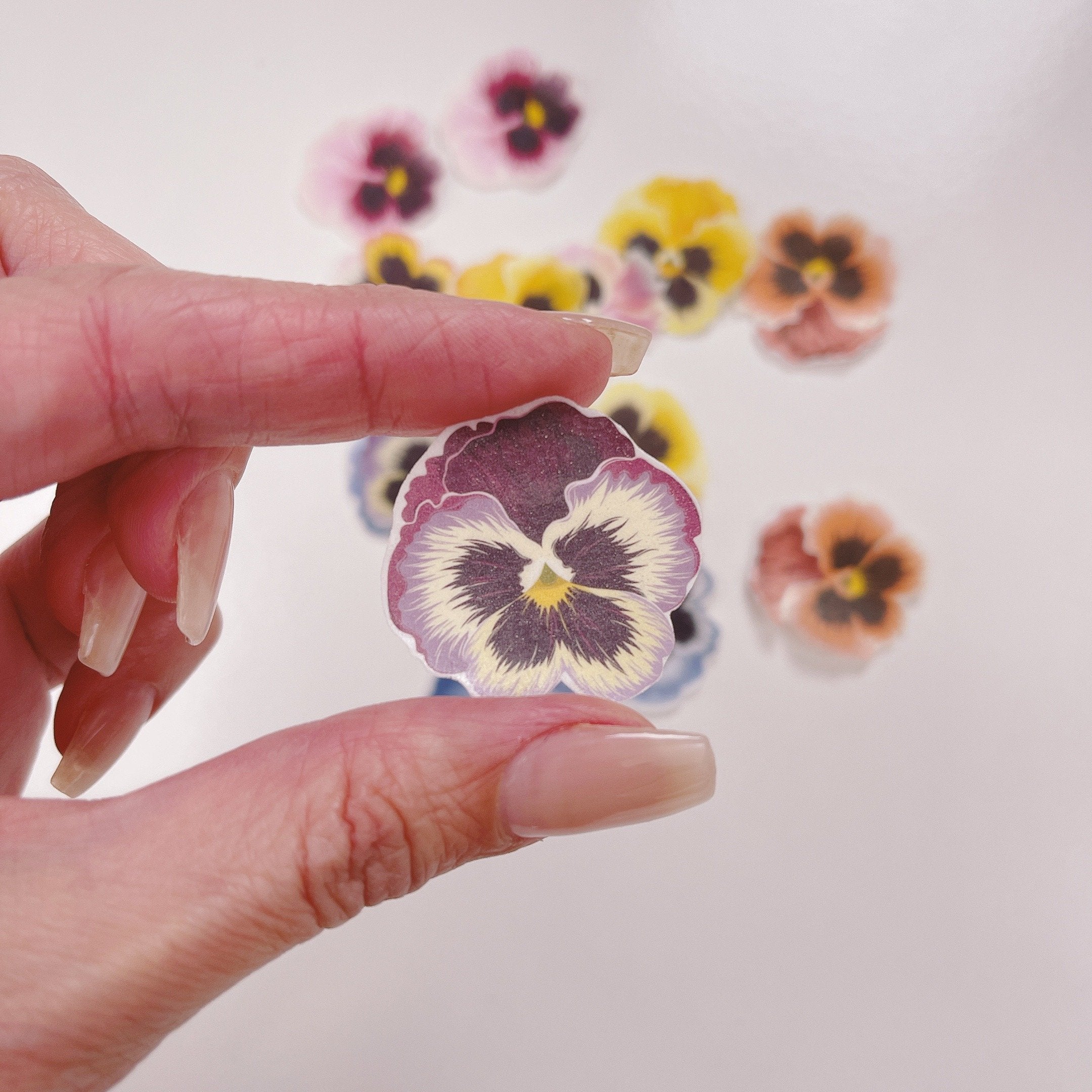 More Wafer Edible Pansies Small and Medium – Moreish Cakes