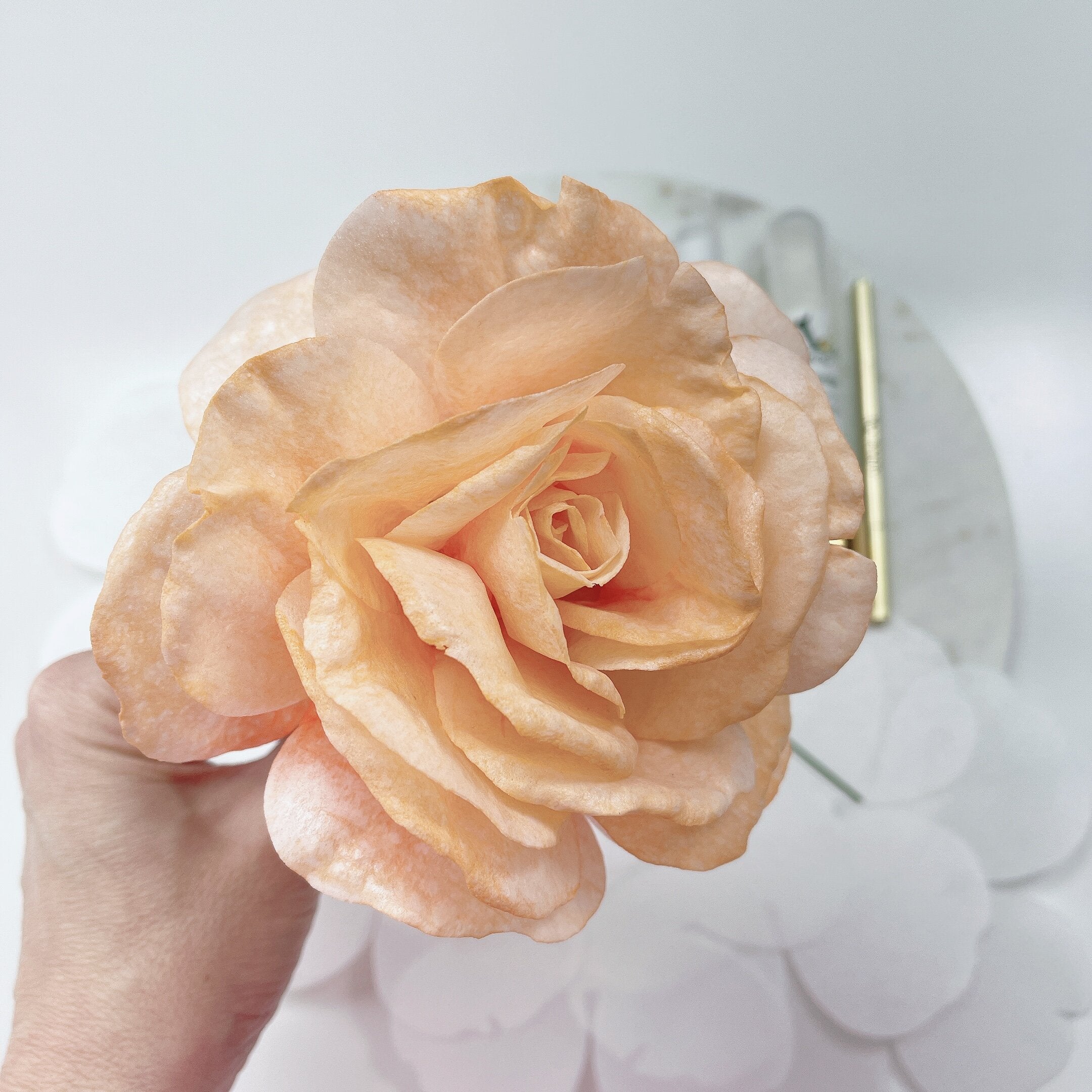 Large Italian Rose Wafer Paper Pack Online Tutorial - With Options and ...